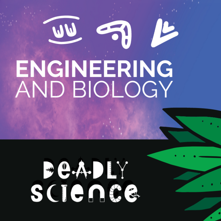 Products Archive - DeadlyScience